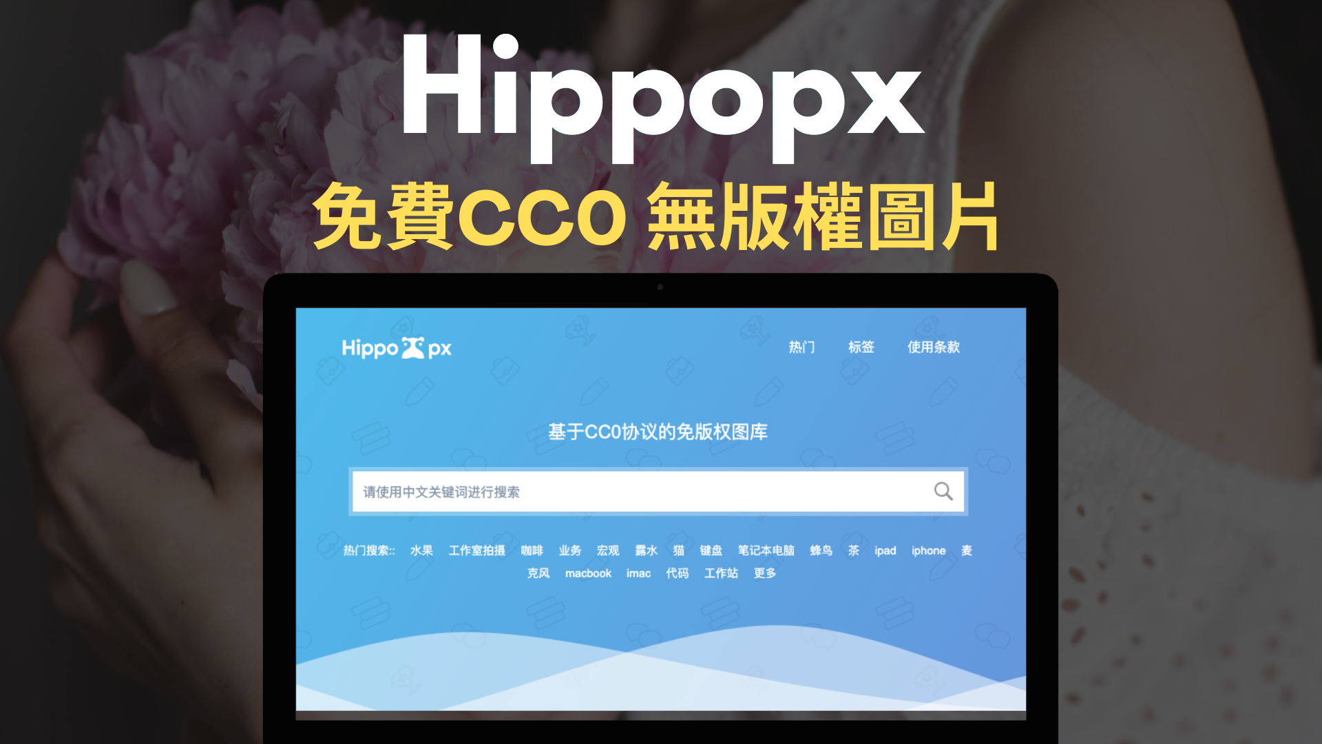Hippopx 數十萬張 CC0 圖片免費下載，無版權高解析度圖庫 | 科技兔