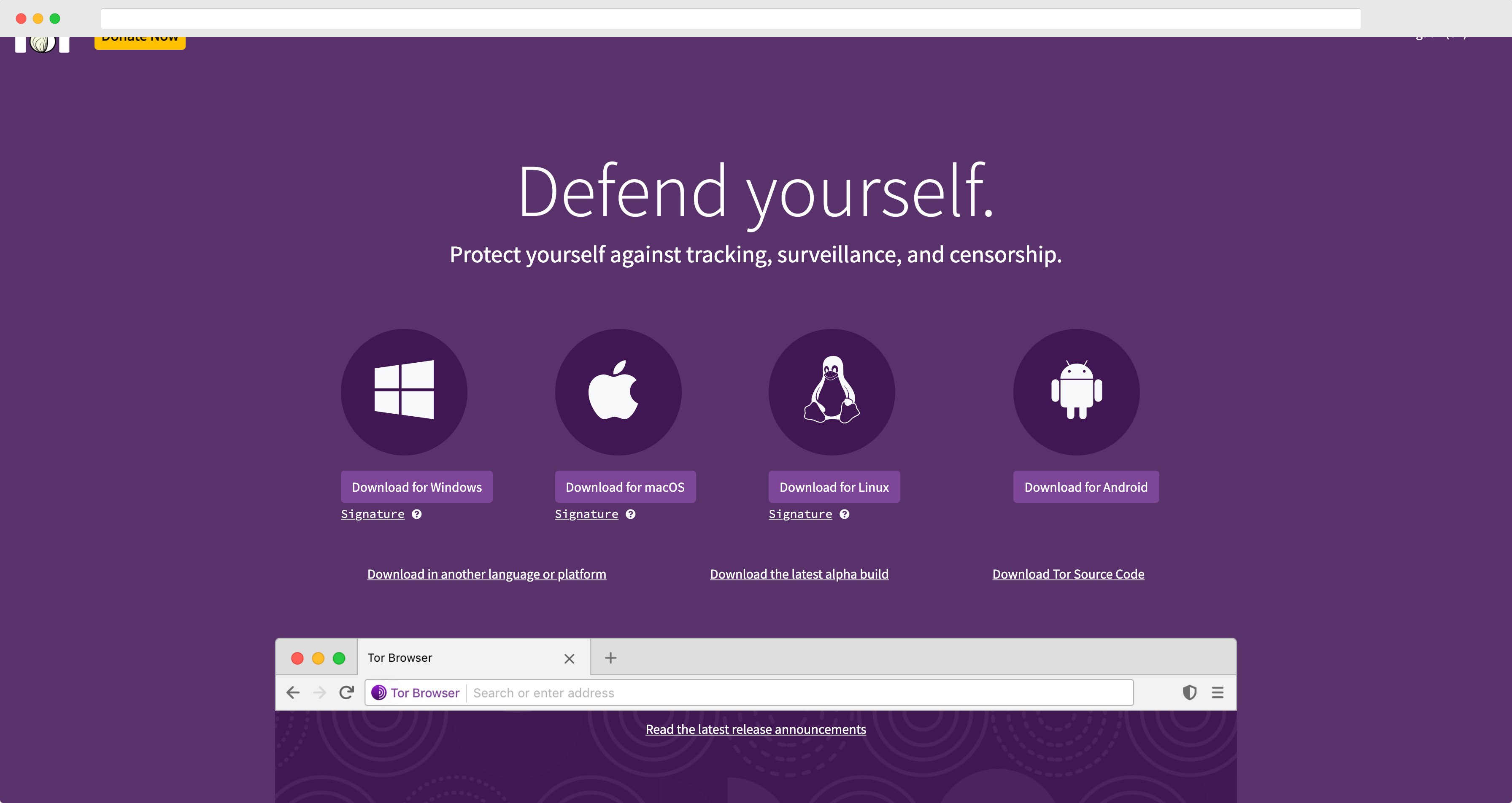 Tor-Browser2 - 科技兔