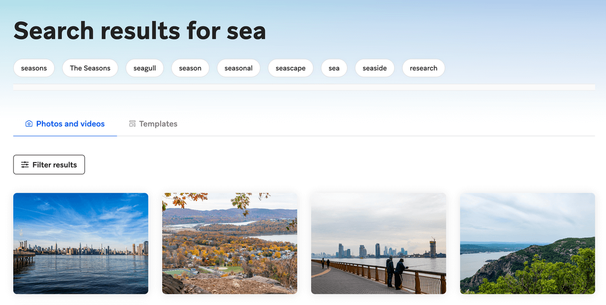 foca-stock-2 - 科技兔