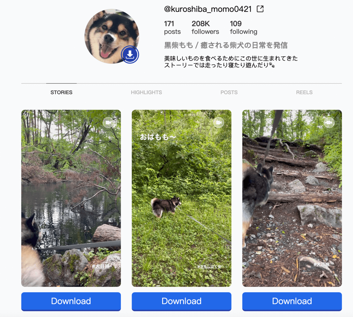 FastDL 一鍵下載 Instagram 照片影片、IG 限時動態跟 Reels - 科技兔